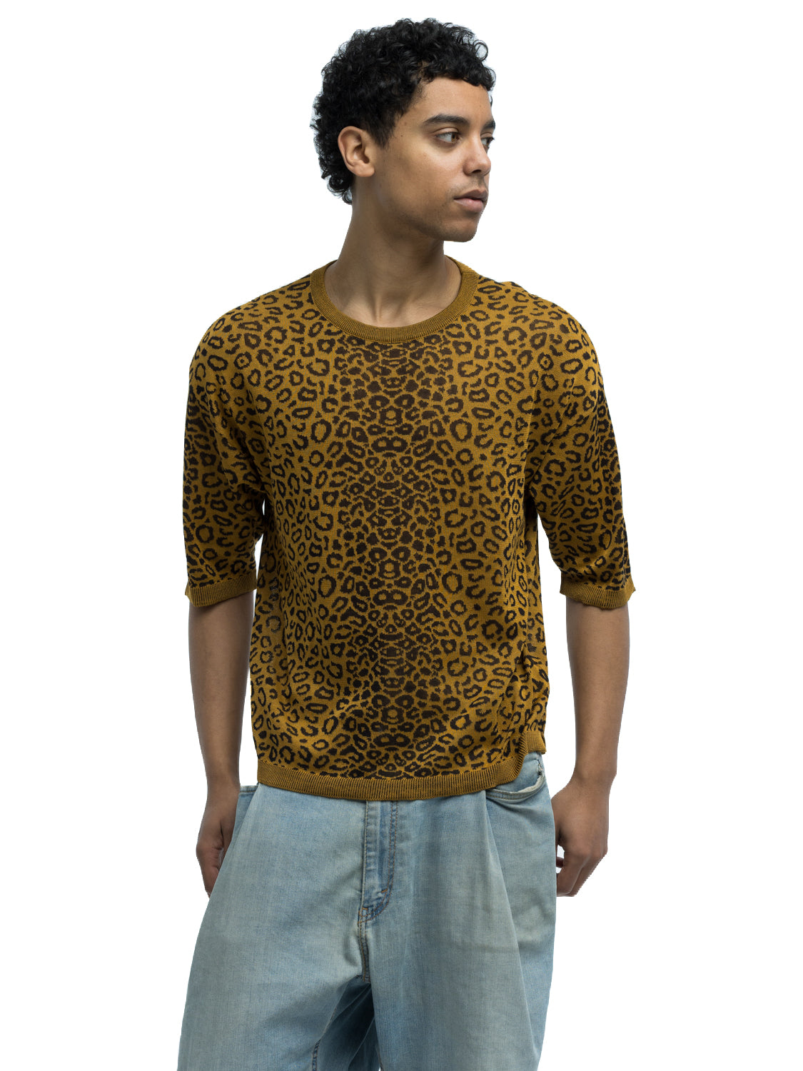 Animal Print Organic Cotton Crewneck Sweater for Men – Eolas